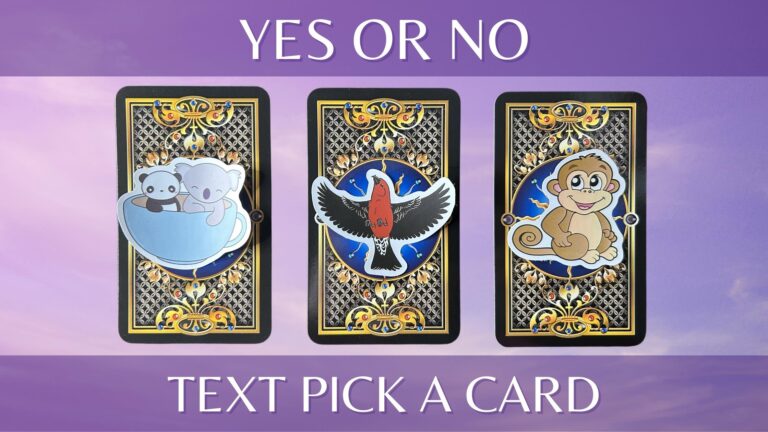 Yes or No: Tarot Pick a Card - Emmarie Hodge