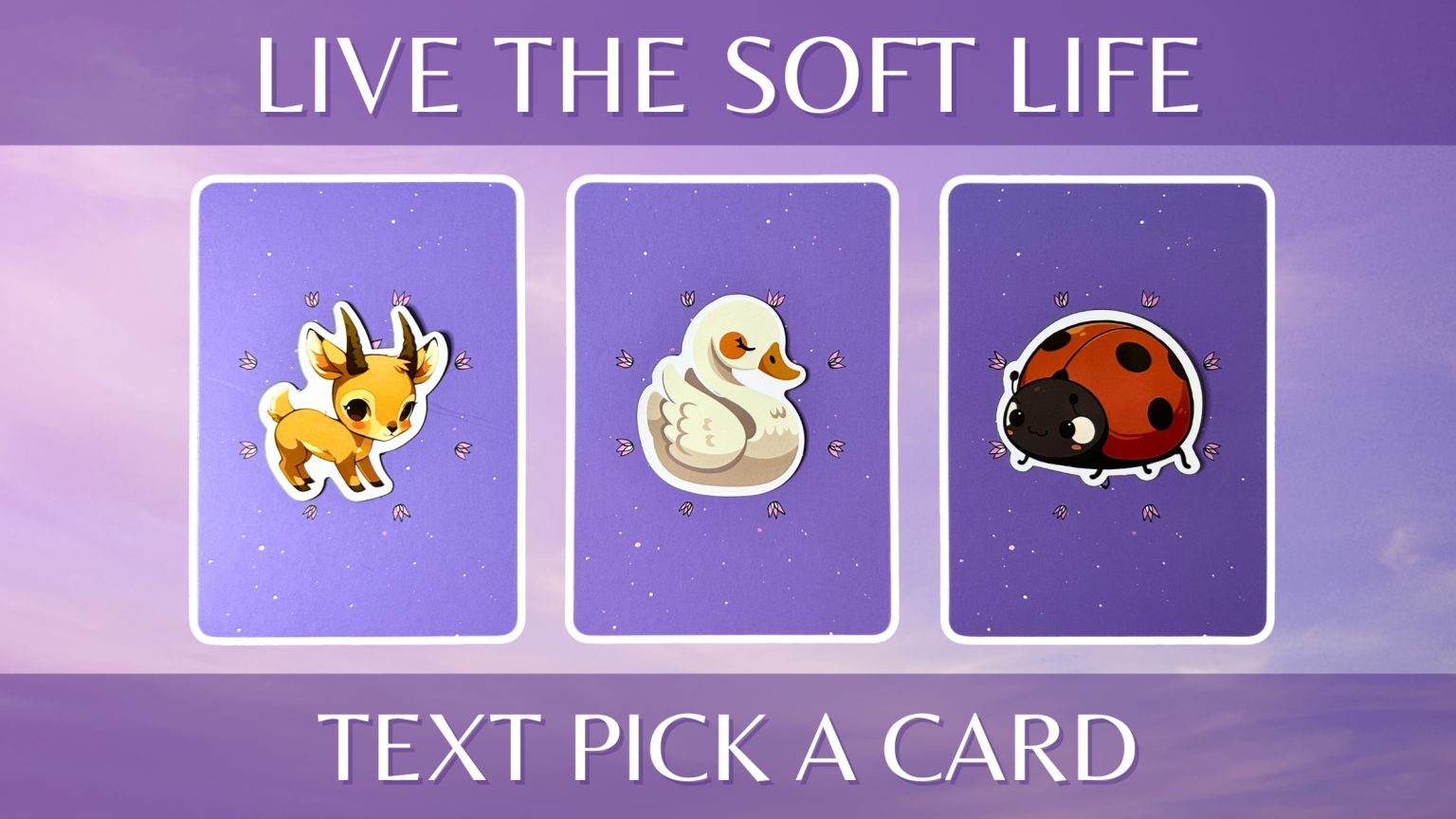 Live the Soft Life — Tarot Pick a Card - Emmarie Hodge
